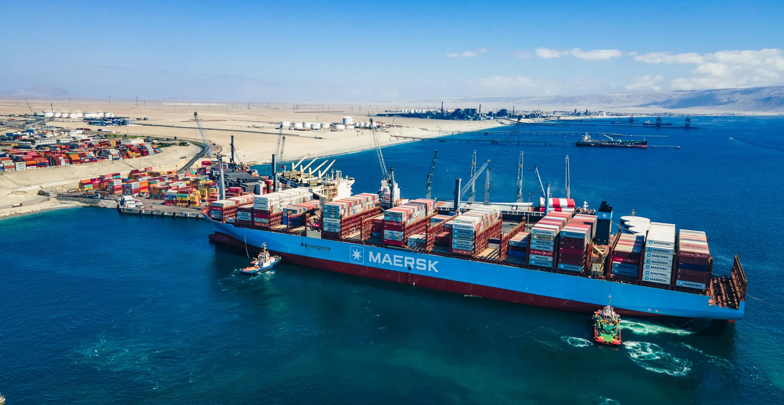 Exportación de frutas chilenas: un nuevo hito con India